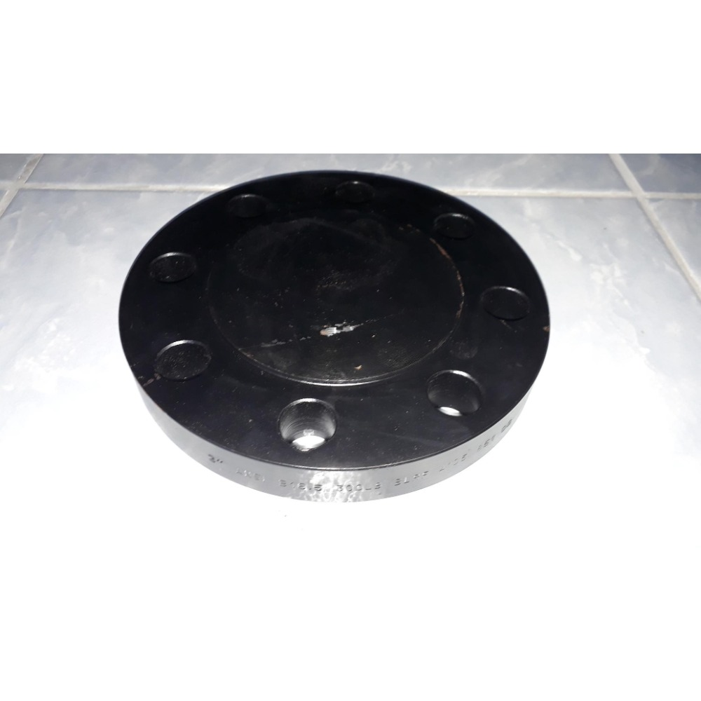 FLANGE CEGO AC. A-105 300# ANSI FR 3" - Lima & Silva Conexoes